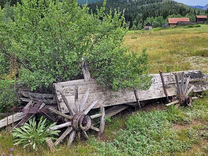 Old wagons like this hauled dreams and supplies up these mountains, now they just haul our imaginations back in time.