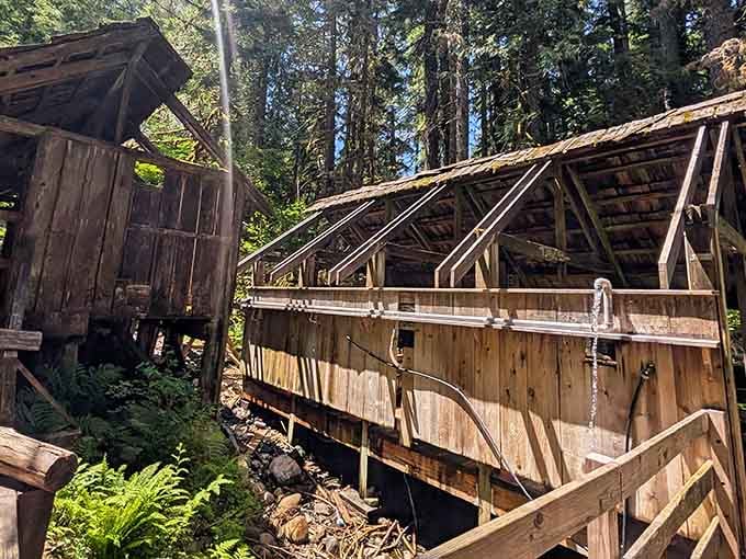 Rustic bathhouses nestle into the forest so naturally, you'd think the trees planned it that way.