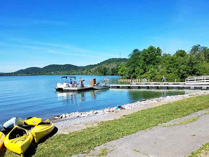 Yellow kayaks lined up and a pontoon boat at the dock, this is what a perfect summer Tuesday looks like.