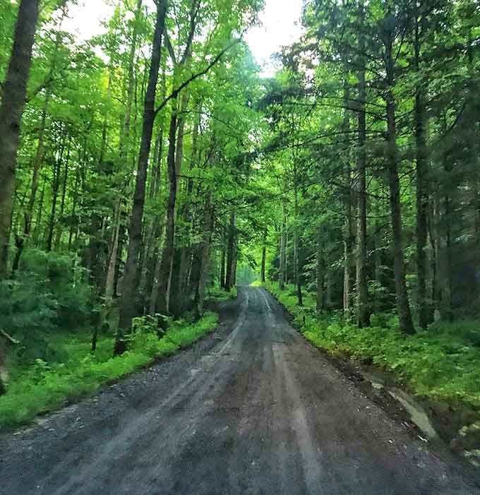 The road less traveled looks exactly like this, and it leads somewhere genuinely worth finding.