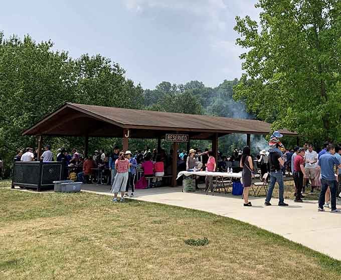 Nothing says a perfect summer day quite like good food, great company, and a shady park shelter.