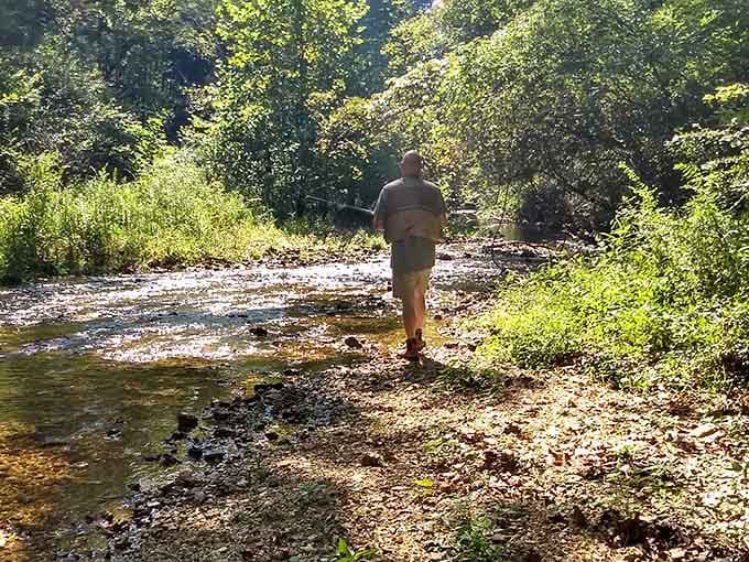 Enjoy a peaceful stroll along the gravel banks of a clear, shallow stream winding through the shaded forest trees.