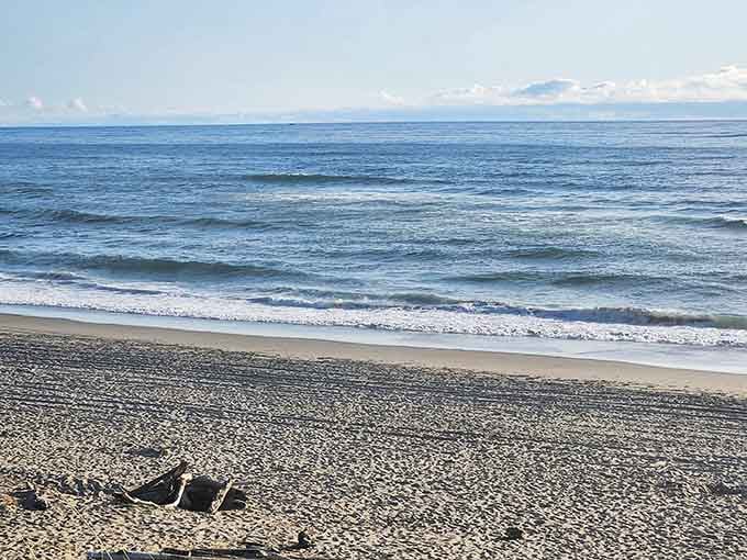 This is what "wide open spaces" actually means. No crowds, no noise, just you and the Pacific having a moment.