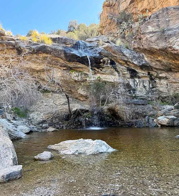 Multiple tiers of cascading water prove that Mother Nature has a flair for the dramatic, even in the Sonoran Desert.