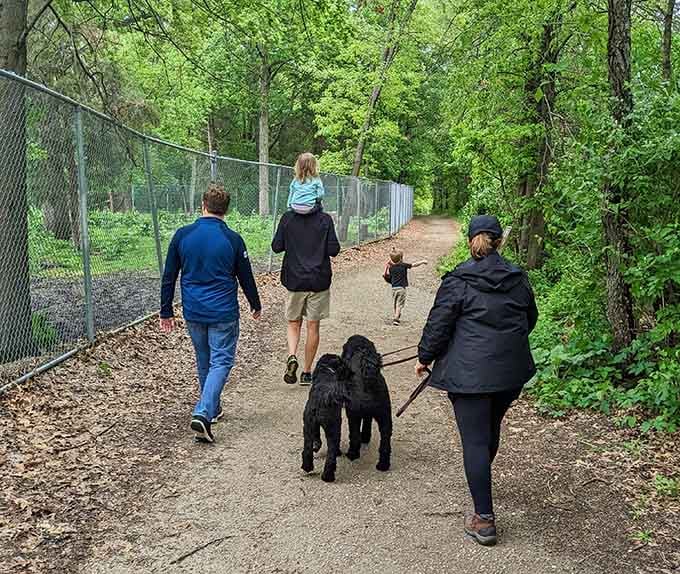 Nothing says quality family time quite like hiking with dogs who are clearly more enthusiastic than everyone else.