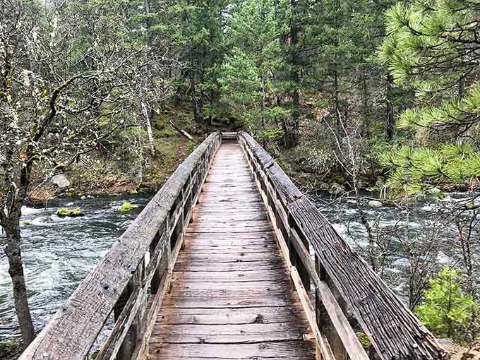 A rustic wooden footbridge over rushing water, because apparently the trail wanted to be even more cinematic.