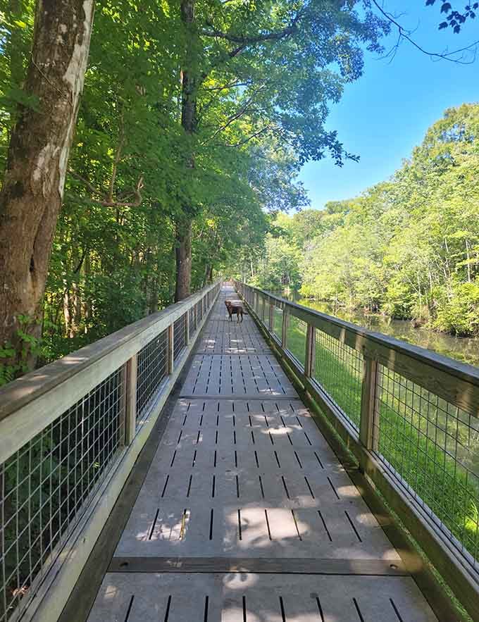 The boardwalk stretches toward the river, inviting leisurely strolls where your biggest decision is left or right.