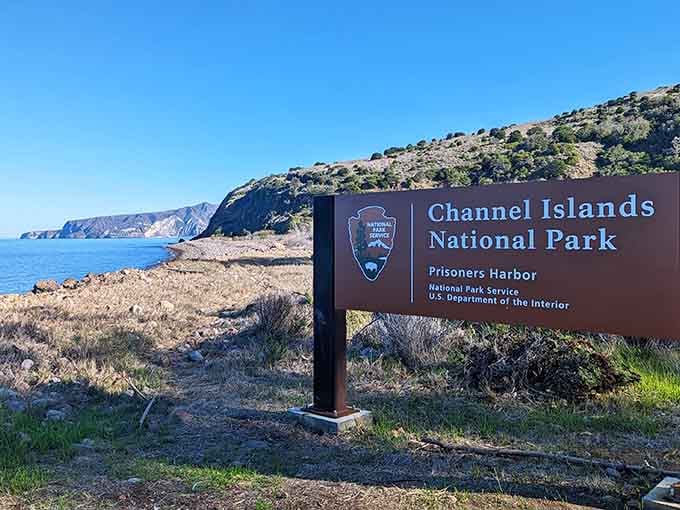 Finally, a national park sign that promises adventure without requiring a six-hour drive through desert traffic.