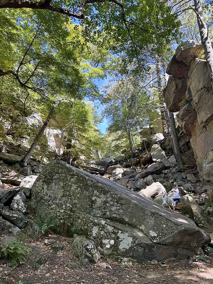 Standing between these towering walls feels like the earth is leaning in to whisper something ancient.