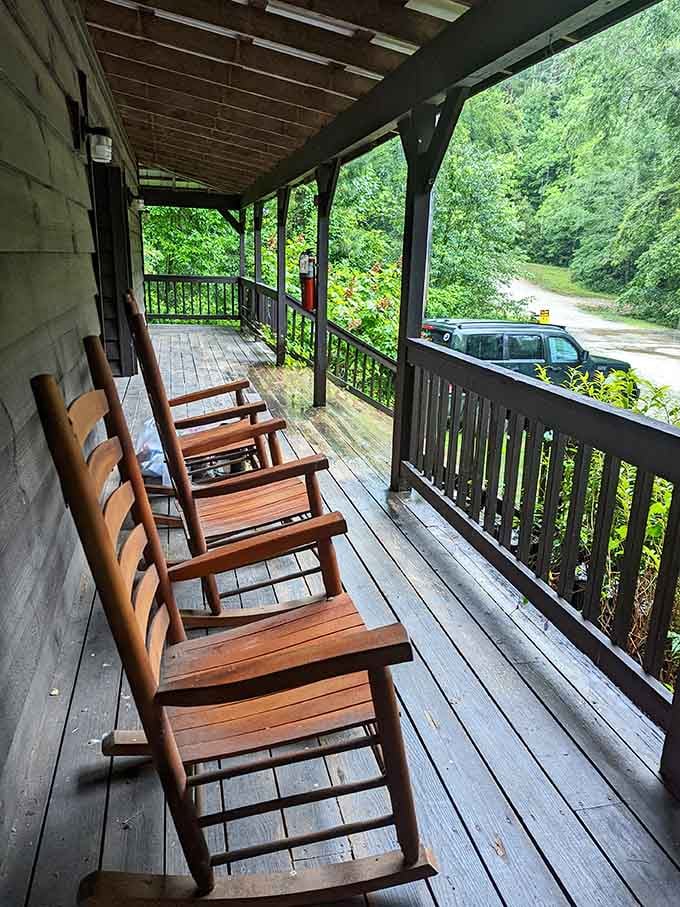 A row of rocking chairs on a covered porch, with nothing but green forest ahead. Sit down. You've earned it.