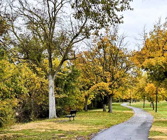 The greenbelt trail winds through autumn colors that remind you why people invented cameras in the first place.