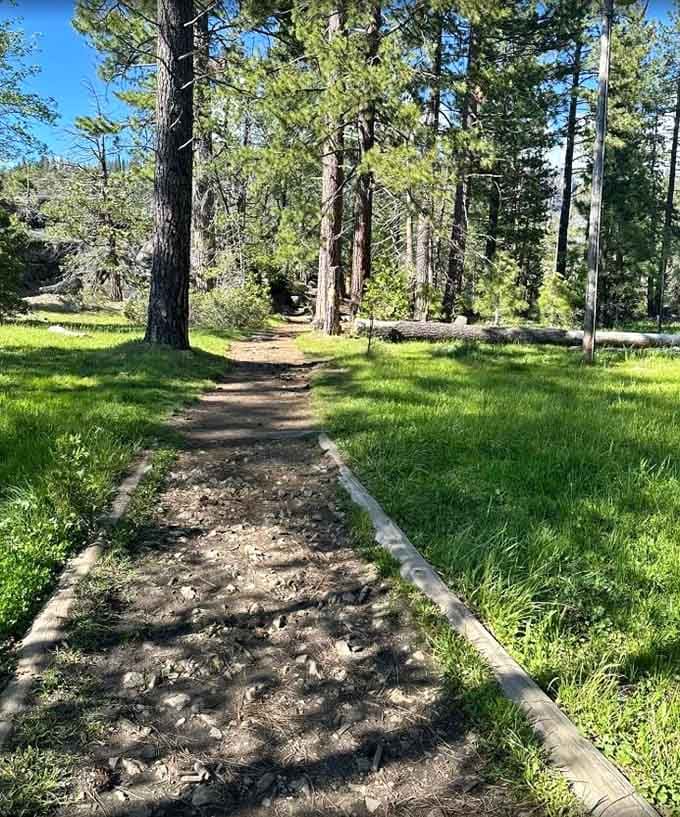 The trail starts easy enough, winding through classic Sierra scenery that makes you forget about traffic jams entirely.
