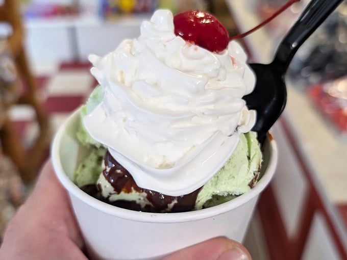 Mint chocolate chip, hot fudge, whipped cream, and a cherry on top. This sundae means serious business.