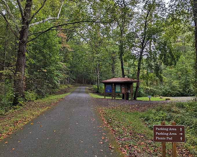 A quiet trail through the trees where the only notification you'll get is birdsong. Leave the phone in the car.