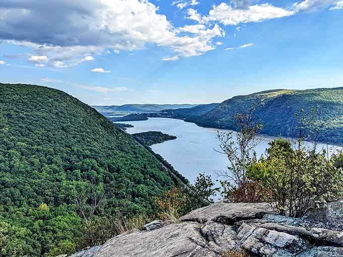 From up here, the Hudson River looks like it was painted specifically to make you forget your inbox exists.