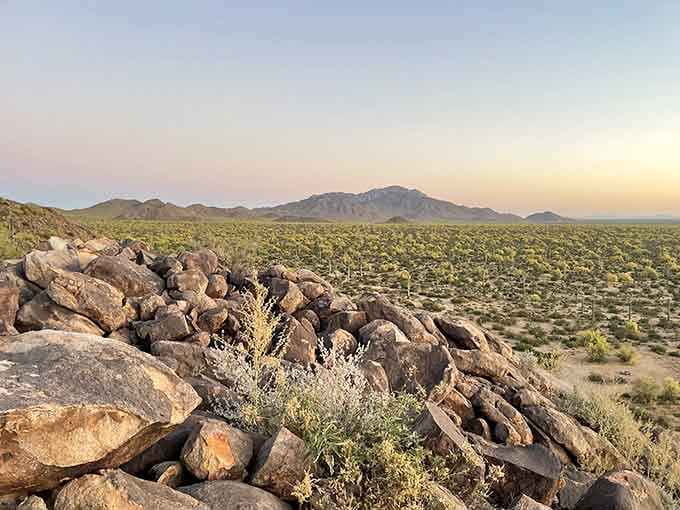 The Sonoran Desert stretches out forever here, reminding you why people fell in love with Arizona in the first place.