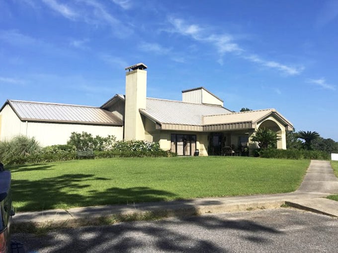 Chautauqua Vineyards sits quietly under a big Florida sky, making muscadine wines that taste like the Panhandle in a glass.