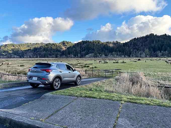 Even your car knows this view deserves a long, quiet pause along Highway 38.