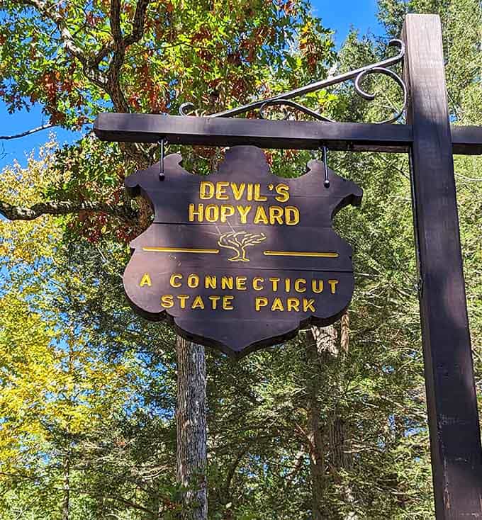That park sign practically whispers "adventure awaits," and honestly, it's not lying to you one bit.