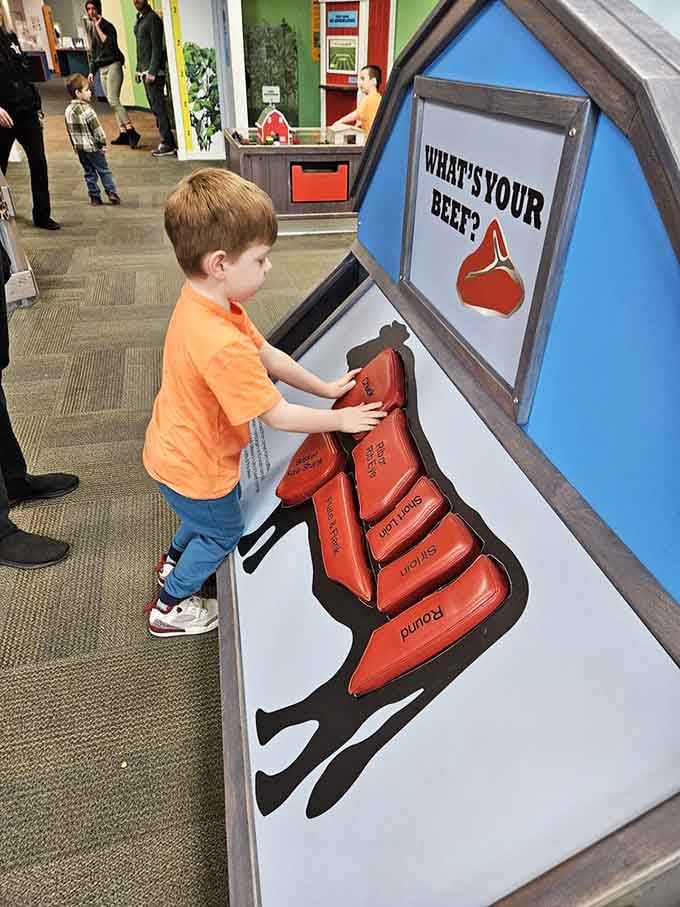 Nothing says "future chef" like a kid seriously studying beef cuts on a hands-on cow puzzle labeled "What's Your Beef?"