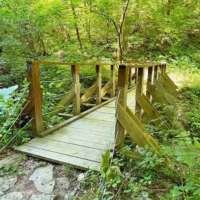 This little wooden footbridge tucked into the summer green feels like the opening scene of a fairy tale.
