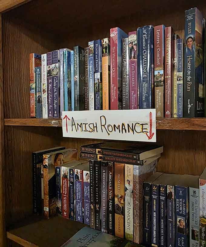 Amish Romance sits right next to Ancient Literature here, because at Driftless Books, nobody judges your reading habits.