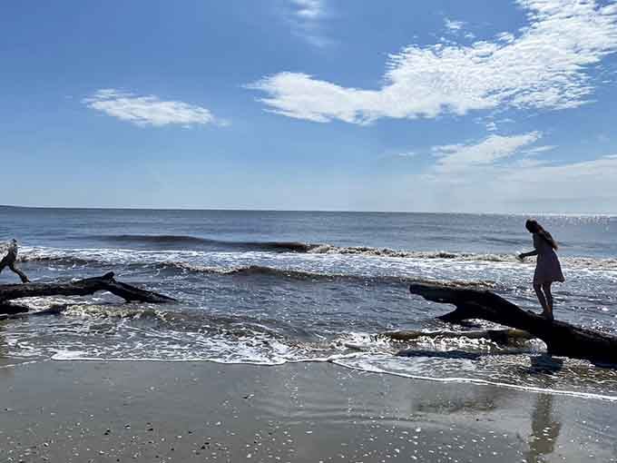 Where the Atlantic meets art, and a sunny afternoon becomes something you'll talk about for years.