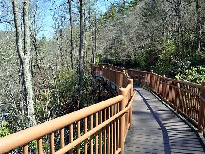 This boardwalk is basically nature's red carpet, and the waterfall is the star of the show.