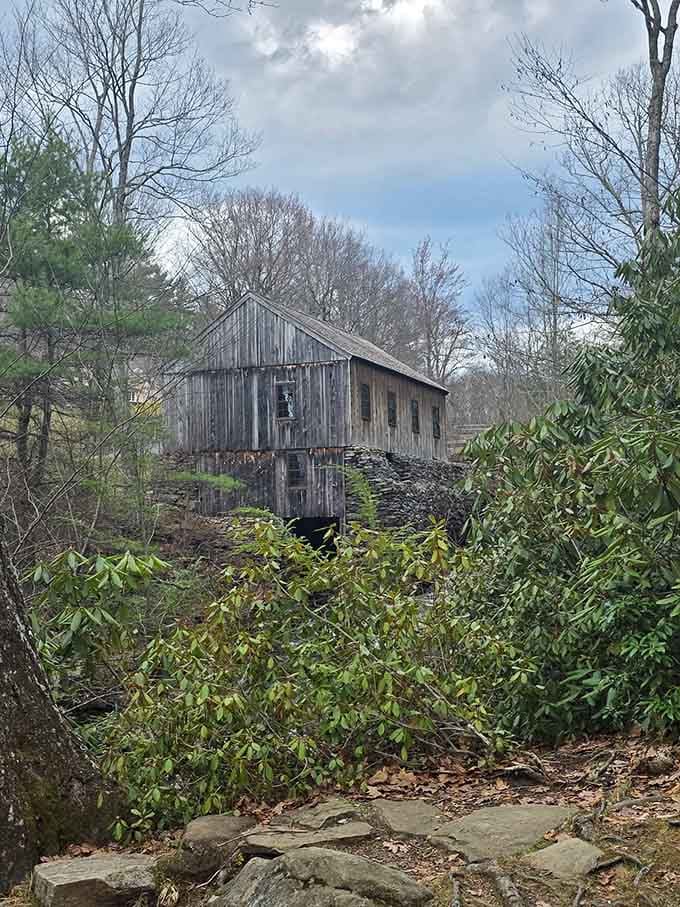 This weathered sawmill stands as a reminder that Instagram wasn't always the only way to capture memories.