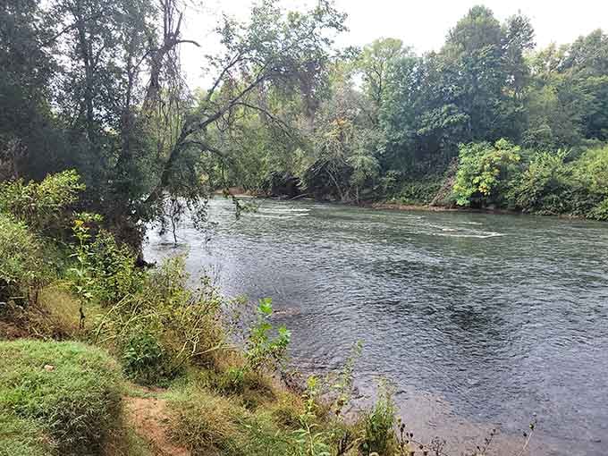 The Smith River Greenway moves at its own pace, and honestly, that's exactly the right speed.