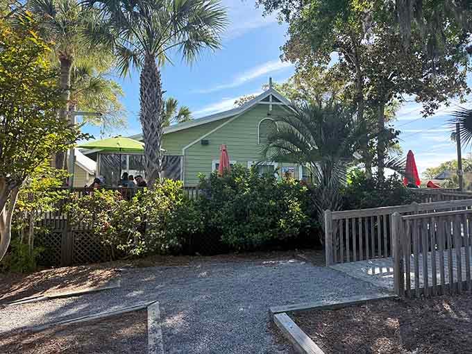The Sea Cow Eatery sits tucked beneath the trees, a charming little spot that looks exactly like good food tastes.
