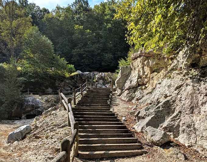 These steps lead somewhere worth the climb. Your knees will complain, your heart won't.