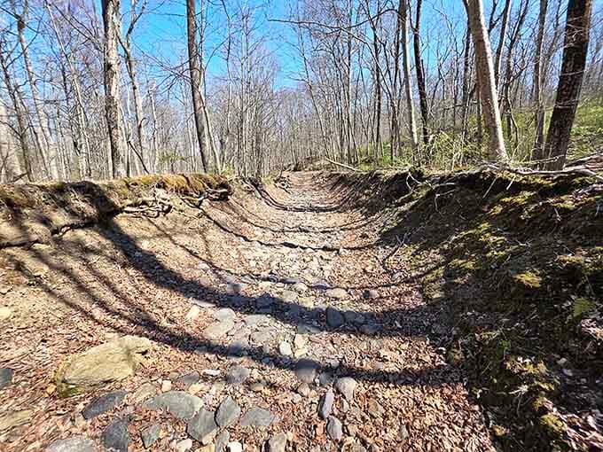 This rocky trail means business. Wear real shoes, not the ones you bought for a treadmill three years ago.