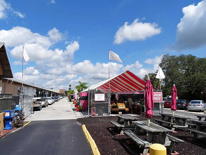 Fresh produce under a candy-striped tent with picnic tables waiting. Even the lunch break here feels like a little celebration.