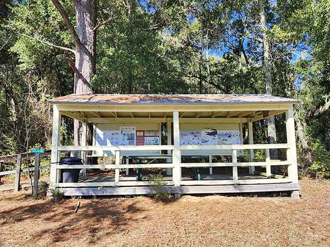 Even the trail kiosk here has a story to tell, tucked under the trees like a wise old neighbor.