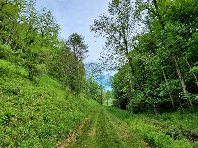 These wooded trails wind through hills so green, you'll swear someone turned up nature's saturation settings.
