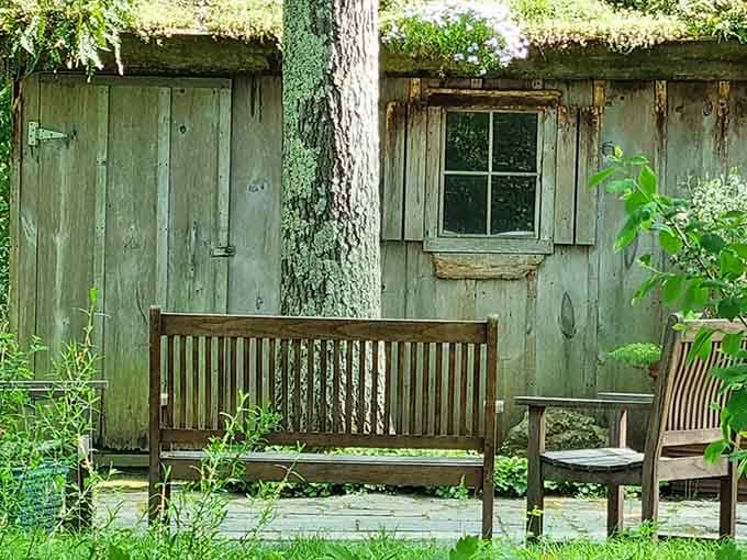This weathered little cabin and its garden bench are basically nature's version of a perfect reading nook.