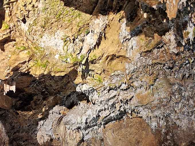 Tiny stalactites crowd the cave walls like nature's own version of a very patient art installation.