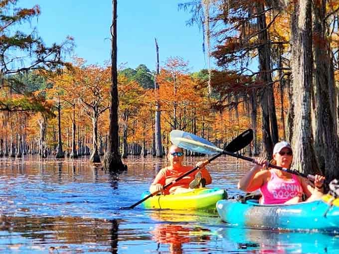 Fall color, open water, and a paddle in hand. Some days, Georgia just gets it exactly right.