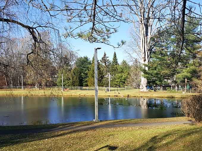 The pond reflects sky and trees in perfect stillness, nature's own mirror without the vanity.