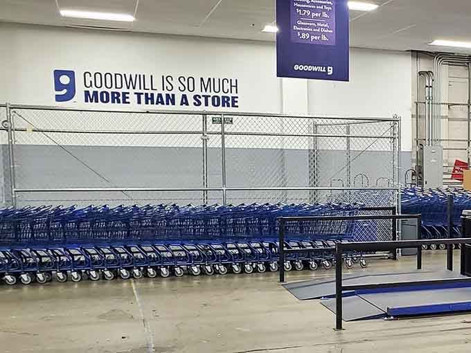 A fleet of blue carts stands ready, because you're definitely going to need both hands free for this.