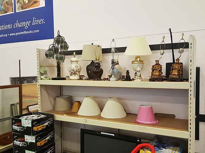 A shelf full of lamps at Goodwill Outlet, because someone's living room deserves a little more personality.