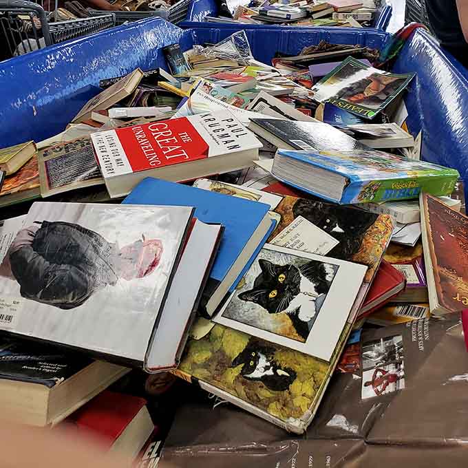 Somewhere in this glorious pile of books, your next favorite read is waiting patiently beneath a cat memoir.