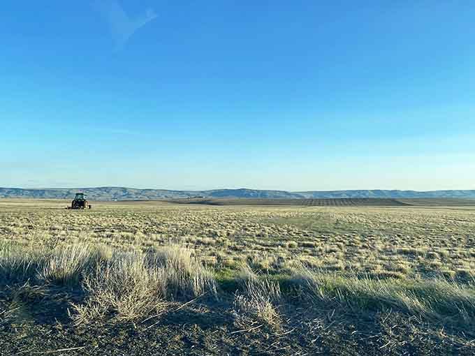 Eastern Washington stretches out forever here, wide open and quietly daring you to question everything you know.