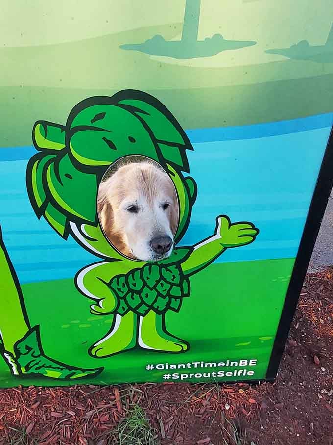 Even the dog wanted in on the #SproutSelfie action, and frankly, he nailed the audition completely.
