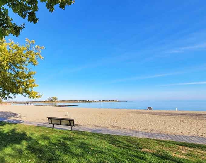 That lone park bench at Jacobs Beach is quietly judging everyone who stayed home today, and honestly, fair enough.