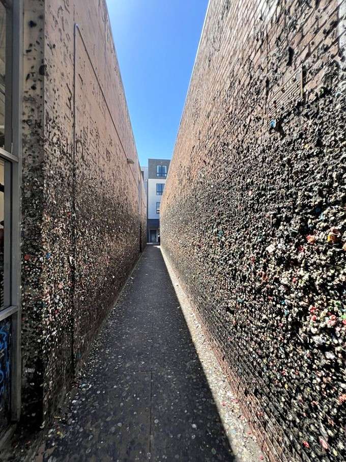 Sunlight cuts straight down the middle of Gum Alley, casting a sharp shadow between two walls packed with history.