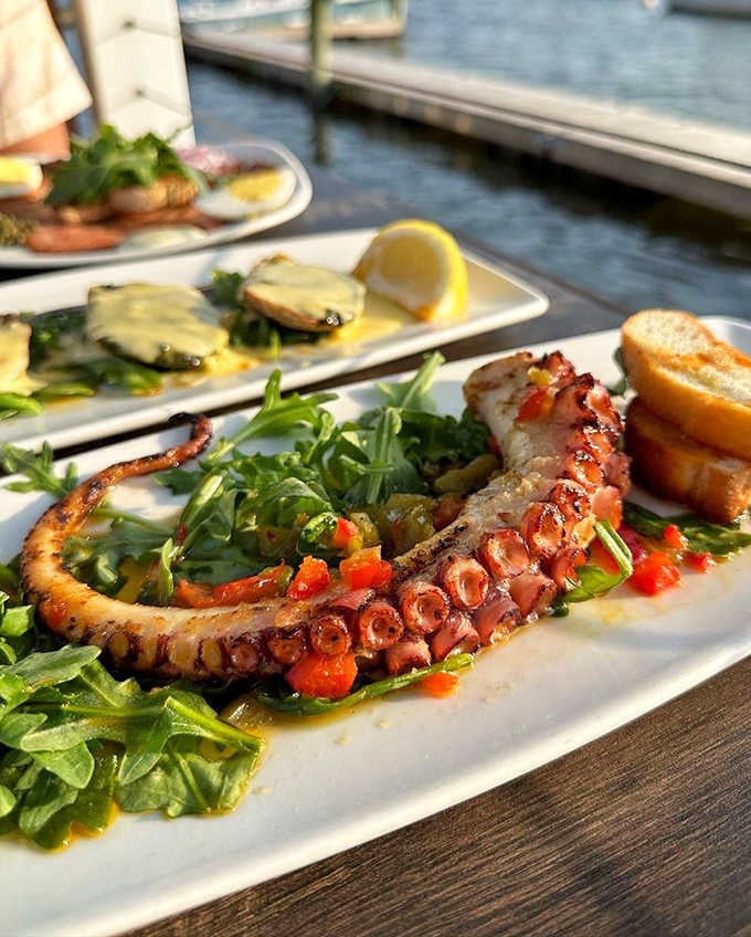Grilled octopus over arugula with the harbor glittering behind it. This plate means serious, beautiful business.