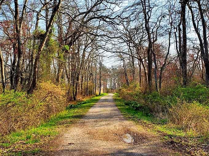 This trail through bare autumn trees proves that Heckscher doesn't need leaves to look absolutely stunning.