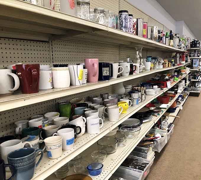 Dozens of mugs line these shelves like old friends, each one carrying memories of a thousand morning coffees.